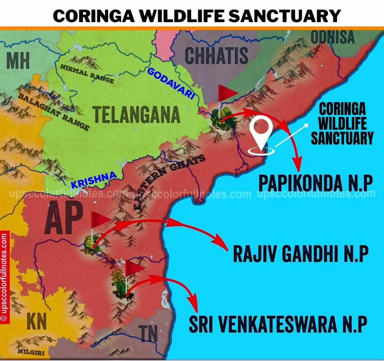 Discover the Beauty of Coringa Wildlife Sanctuary: A Mangrove Forest ...