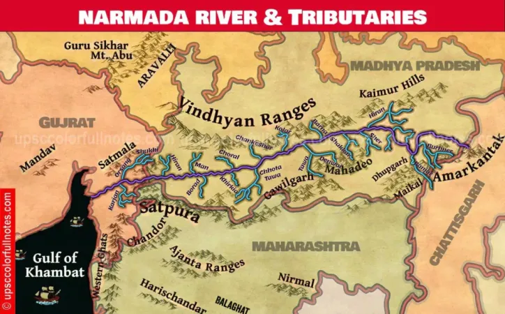Tributary River Diagram