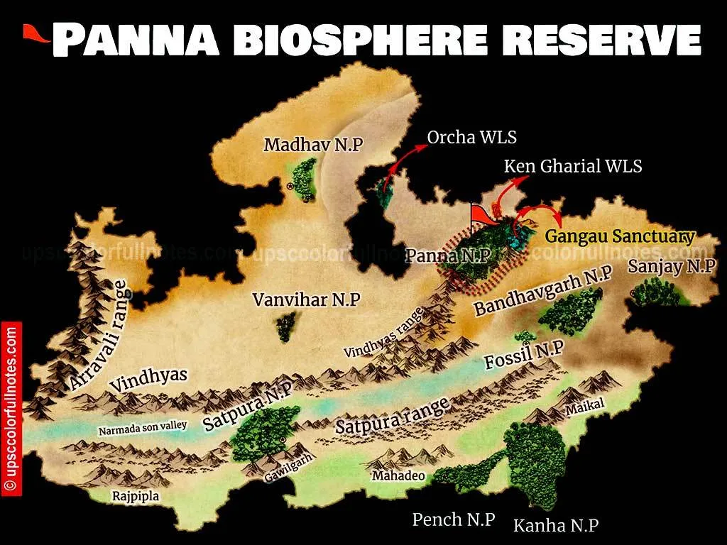 Discover the Natural Beauty of Panna Biosphere Reserve: Home to ...